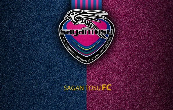 Wallpaper wallpaper, sport, logo, football, Sagan Tosu for mobile and ...