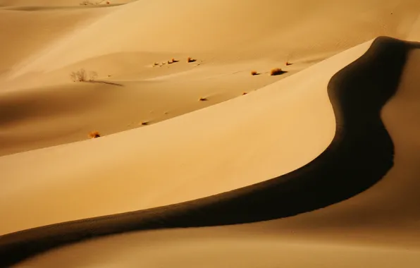 Wallpaper desert, shadow, Barkhan images for desktop, section природа ...