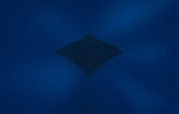Wallpaper ocean, deep blue, manta rays for mobile and desktop, section ...