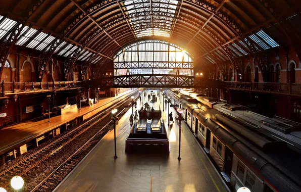 Download wallpaper The sun, Morning, Light, Light, Brazil, Brazil ...