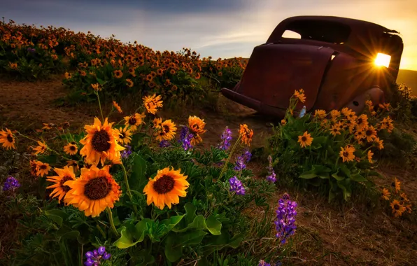 Download wallpaper machine, flowers, meadow, scrap, section landscapes ...