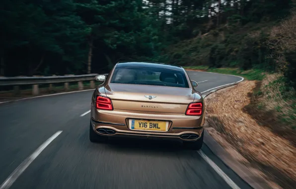 Wallpaper asphalt, Bentley, rear view, Flying Spur, 2020, V8, 2021 ...