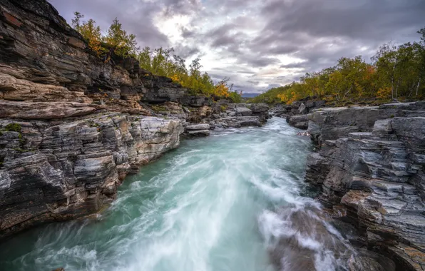 Wallpaper the sky, nature, river for mobile and desktop, section ...