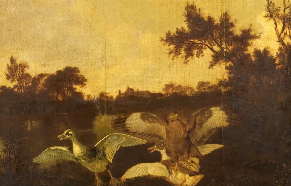 Wallpaper birds, oil, picture, Buzzard and Two Ducks, Dirk Wiintrak ...