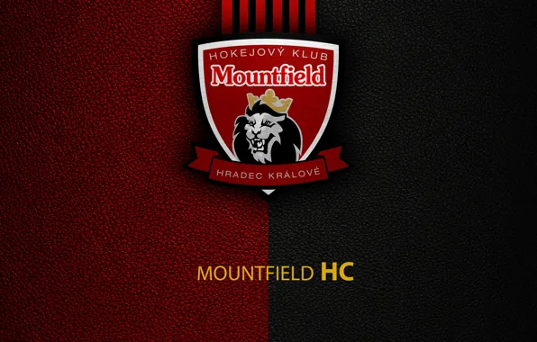 Wallpaper wallpaper, logo, Sport, Hockey, Mountfield for mobile and ...