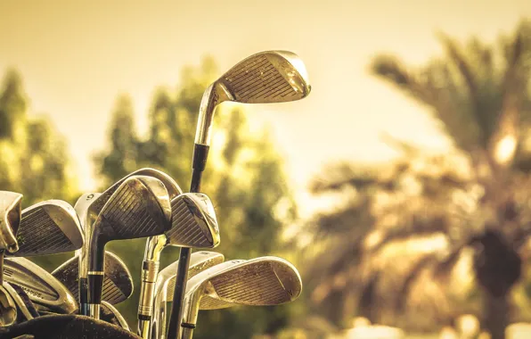 Wallpaper macro, sport, Golf sticks images for desktop, section спорт ...