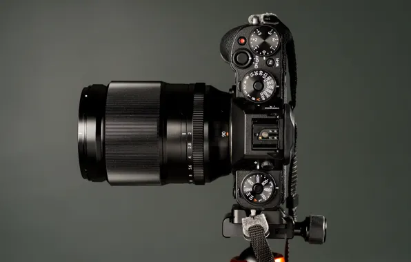 Wallpaper macro, camera, Fuji 90mm f2 R LM WR for mobile and desktop ...