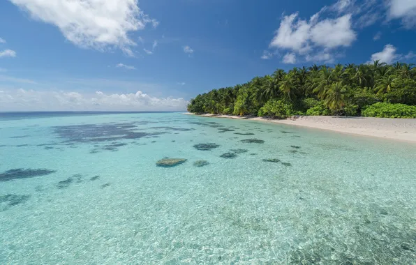 Wallpaper sea, beach, summer, nature, shore, Tropics for mobile and ...