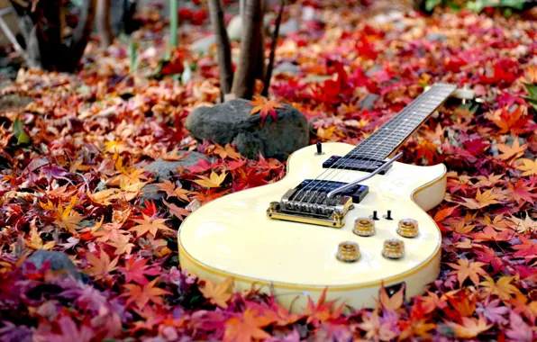 Wallpaper guitar, forest, autumn, leaves for mobile and desktop ...
