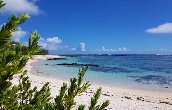 Download wallpaper sand, beach, coast, island, relax, The Indian ocean ... Download wallpaper sand, beach, coast, island, relax, The Indian ocean ...