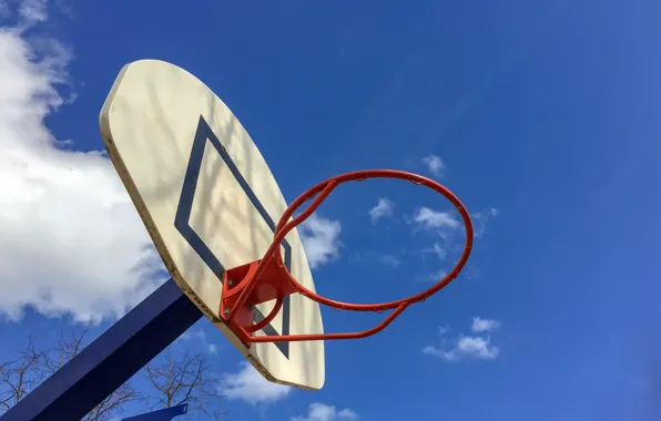 Wallpaper ring, Basketball, shield for mobile and desktop, section ...