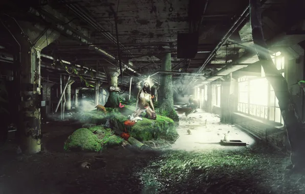 Wallpaper girl, the game, anime, rabbits, rabbits, Kung foo for mobile ...