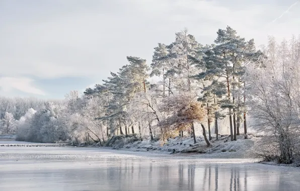 Wallpaper winter, nature, river for mobile and desktop, section природа ...