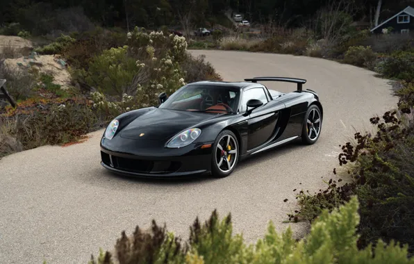 Download wallpaper Porsche, Porsche Carrera GT, front view, section ...