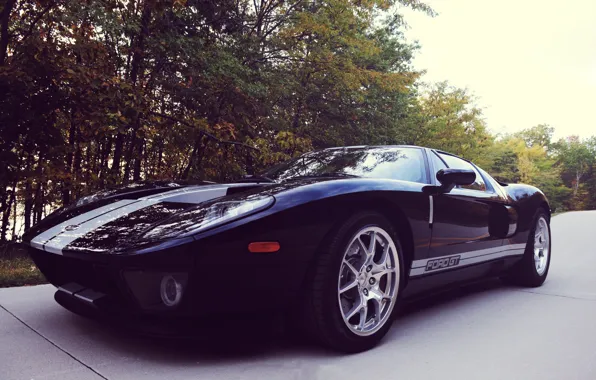 Wallpaper white, ford, black, stripes, autumn, Gt for mobile and ...