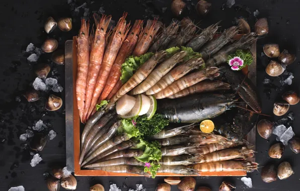 Wallpaper shrimp, seafood, shellfish for mobile and desktop, section ...