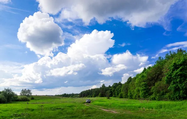 Download wallpaper road, field, machine, forest, summer, the sky, grass ...
