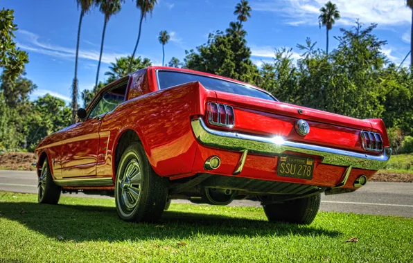 Download wallpaper Mustang, Ford, Ford, Ford Mustang, Ford Mustang ...