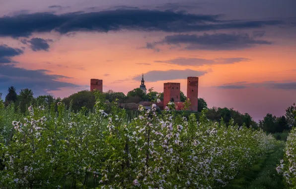 Download wallpaper castle, spring, garden, flowering, section ...