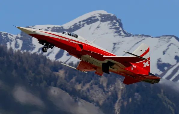 Wallpaper fighter, multipurpose, Tiger II, easy, F-5, Tiger II for ...