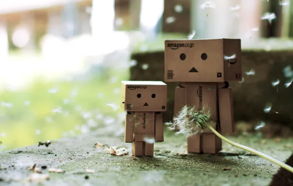 Wallpaper dandelion, Danbo, danbo, boxes for mobile and desktop ...