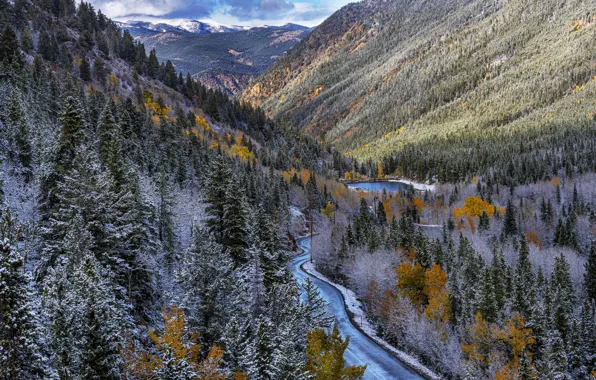 Wallpaper Autumn, Colorado, Forest images for desktop, section пейзажи ...