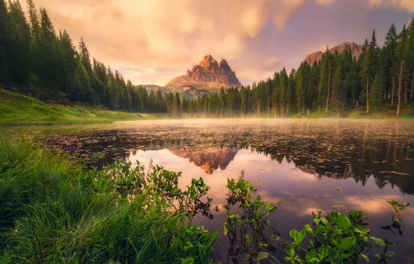 Wallpaper forest, grass, mountains, lake, reflection, shore, ate for ...