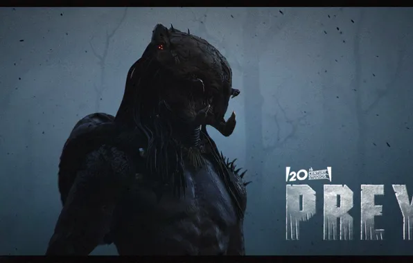 Wallpaper Predator, Prey, Prey 2022, Predator Young Blood, ilya ...