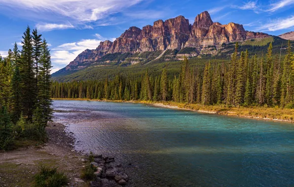 Download wallpaper forest, nature, shore, Canada, Albert, mountains ...