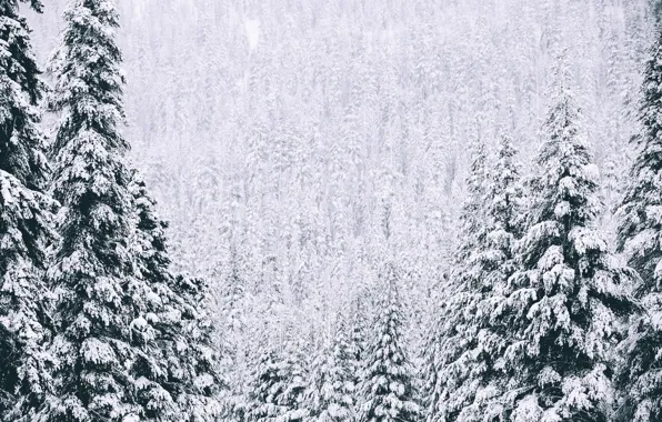 Download wallpaper winter, snow, ate, section landscapes in resolution ...