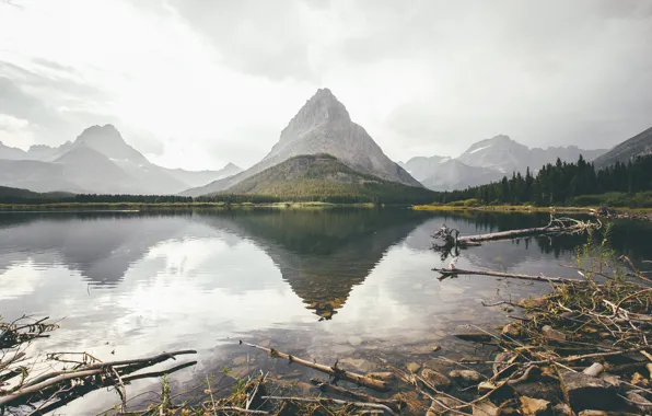 Wallpaper nature, lake, mountain, branches images for desktop, section ...