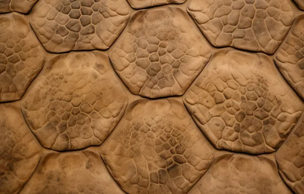 Download wallpaper texture, AI art, neural network, the art of ...