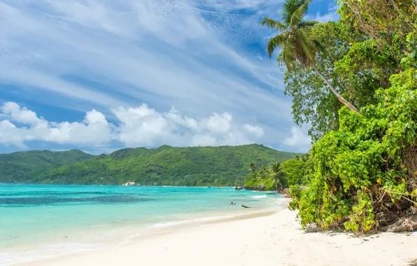 Wallpaper sand, sea, beach, nature, the ocean, summer, beach, sea for ...