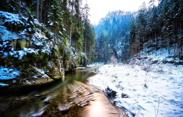 Wallpaper winter, forest, landscape, nature, river for mobile and ...