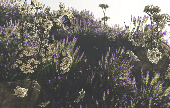 Wallpaper flowers, nature for mobile and desktop, section рендеринг ...