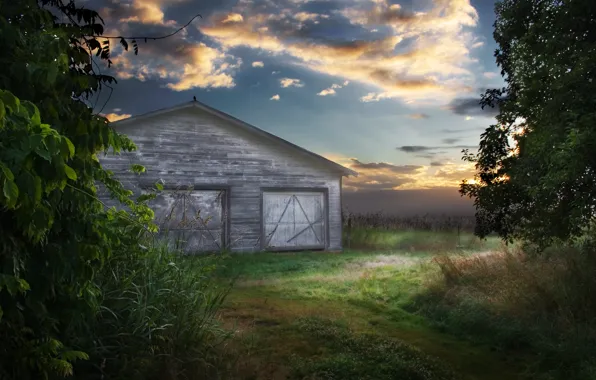 Download wallpaper field, the sky, The barn, crow, section nature in ...
