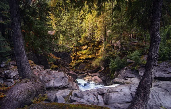 Download wallpaper nature, river, rocks, section landscapes in ...