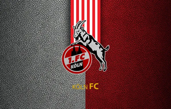 Wallpaper wallpaper, sport, logo, football, Koln, Bundesliga for mobile ...