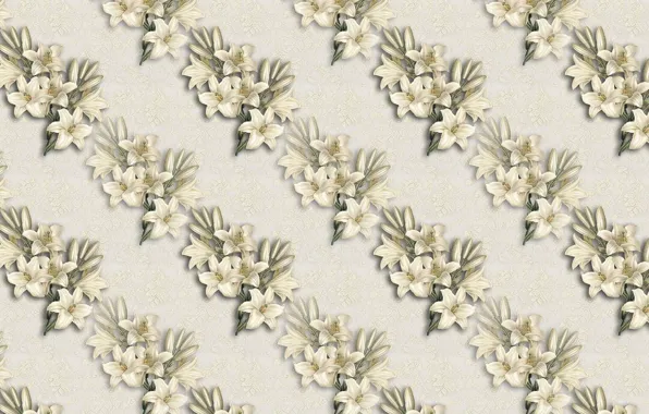 Wallpaper flowers, background, Lily, texture images for desktop ...