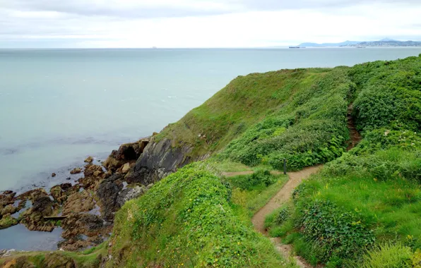 Wallpaper sea, coast, Ireland, Donegal images for desktop, section ...