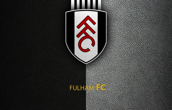 Wallpaper wallpaper, sport, logo, football, English Premier League ...