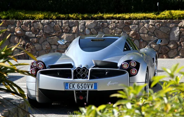 Wallpaper grass, silver, silver, supercar, grass, Pagani, supercar ...