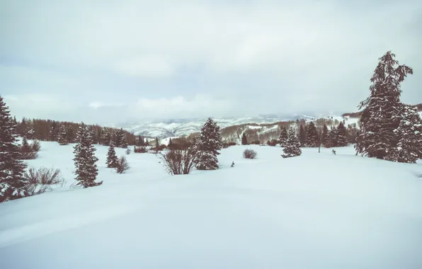 Wallpaper trees, winter, snow, hills for mobile and desktop, section природа, resolution ...