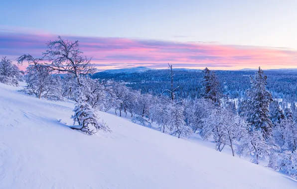 Download wallpaper winter, snow, trees, landscape, mountains, tree ...