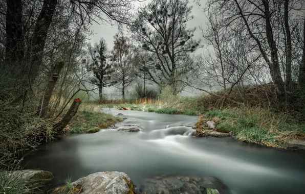 Wallpaper water, landscape, nature, river for mobile and desktop ...