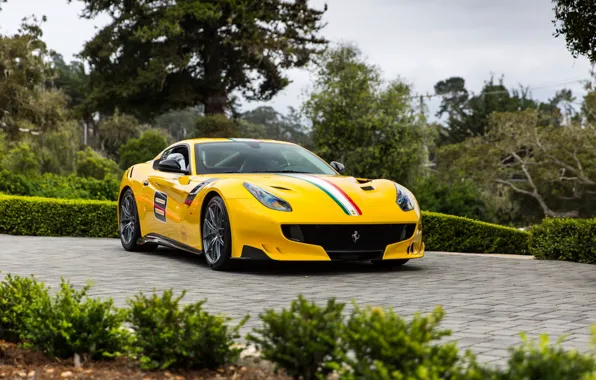 Wallpaper Ferrari F12 Tdf For Mobile And Desktop Section Ferrari