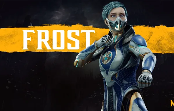 Wallpaper girl, girl, fighter, cyborg, Frost, cyborg, NetherRealm ...
