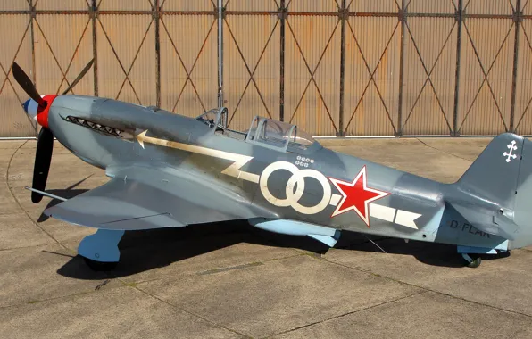 Wallpaper fighter, Soviet, single-engine, The Yak-3, Yak-3 for mobile ...