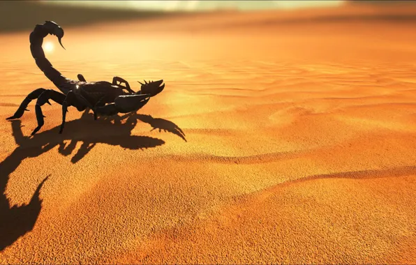 Wallpaper game, scorpion, sand, suna, ARK Survival Evolved for mobile ...