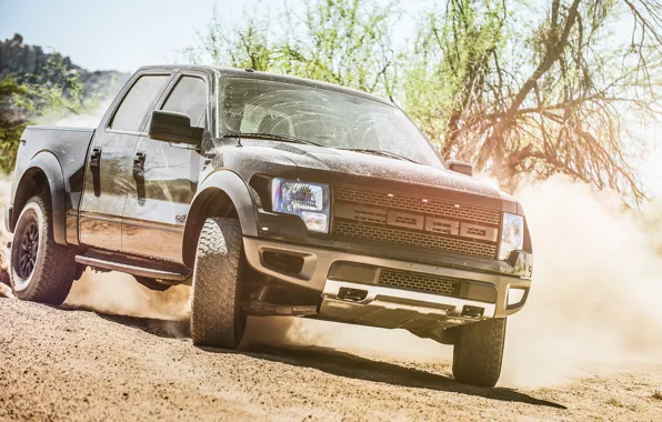 Wallpaper Ford, skid, Raptor, pickup, F-150, Charles Siritho images for ...